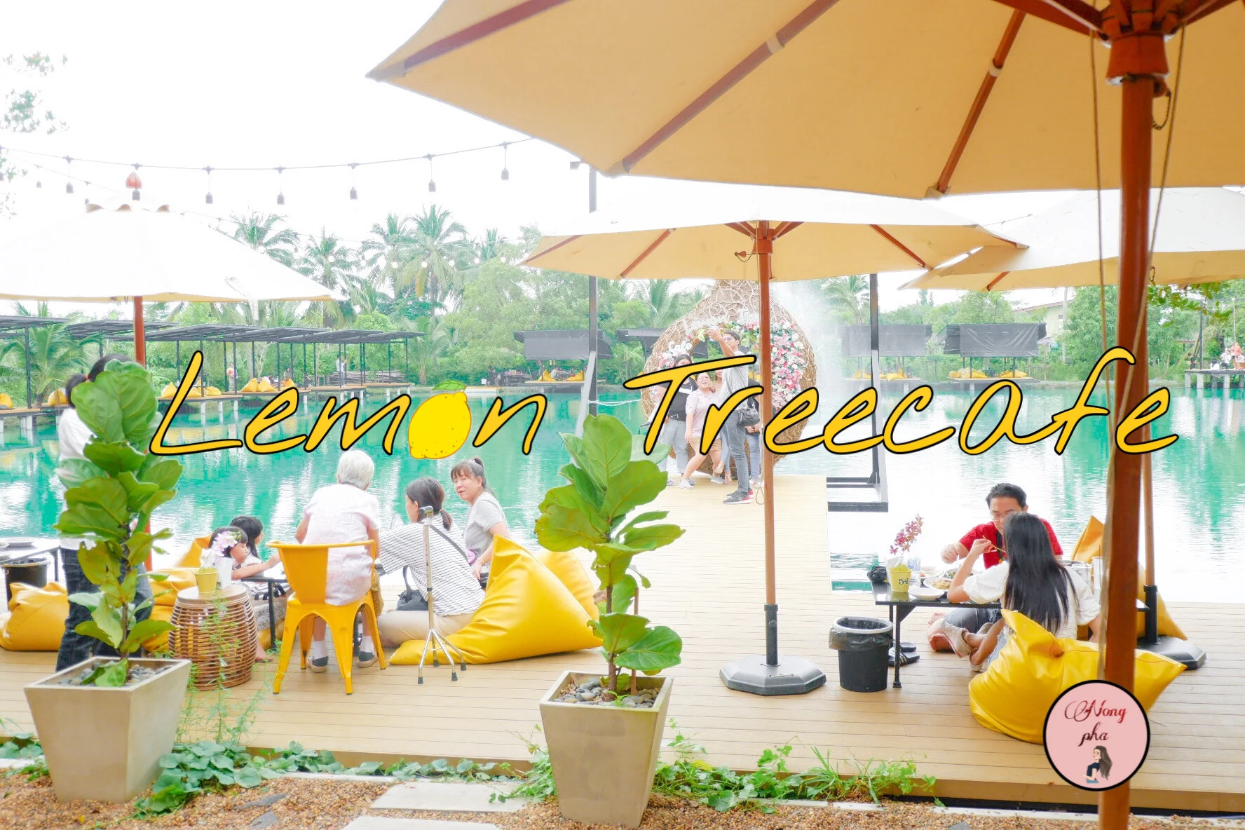lemon tree cafe นครปฐม - 10 คาเฟ่นครปฐม มุมถ่ายรูปสวยๆเพียบ เปิดใหม่ล่าสุด
